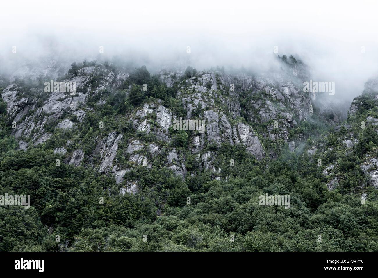 Landscape between Caleta Yungay and Tortel - traveling the Carretera ...