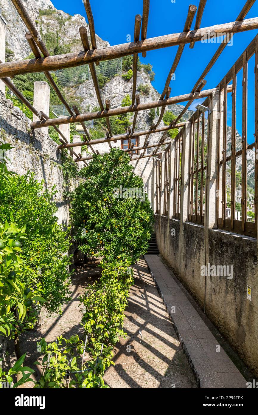 Lemon trees, Limonaia del Castel, lemon greenhouse, Limone sul Garda ...