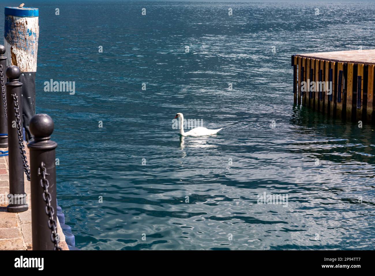 Swan lake village hi-res stock photography and images - Alamy