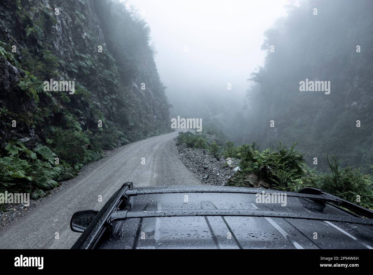 Landscape between Caleta Yungay and Tortel - traveling the Carretera ...