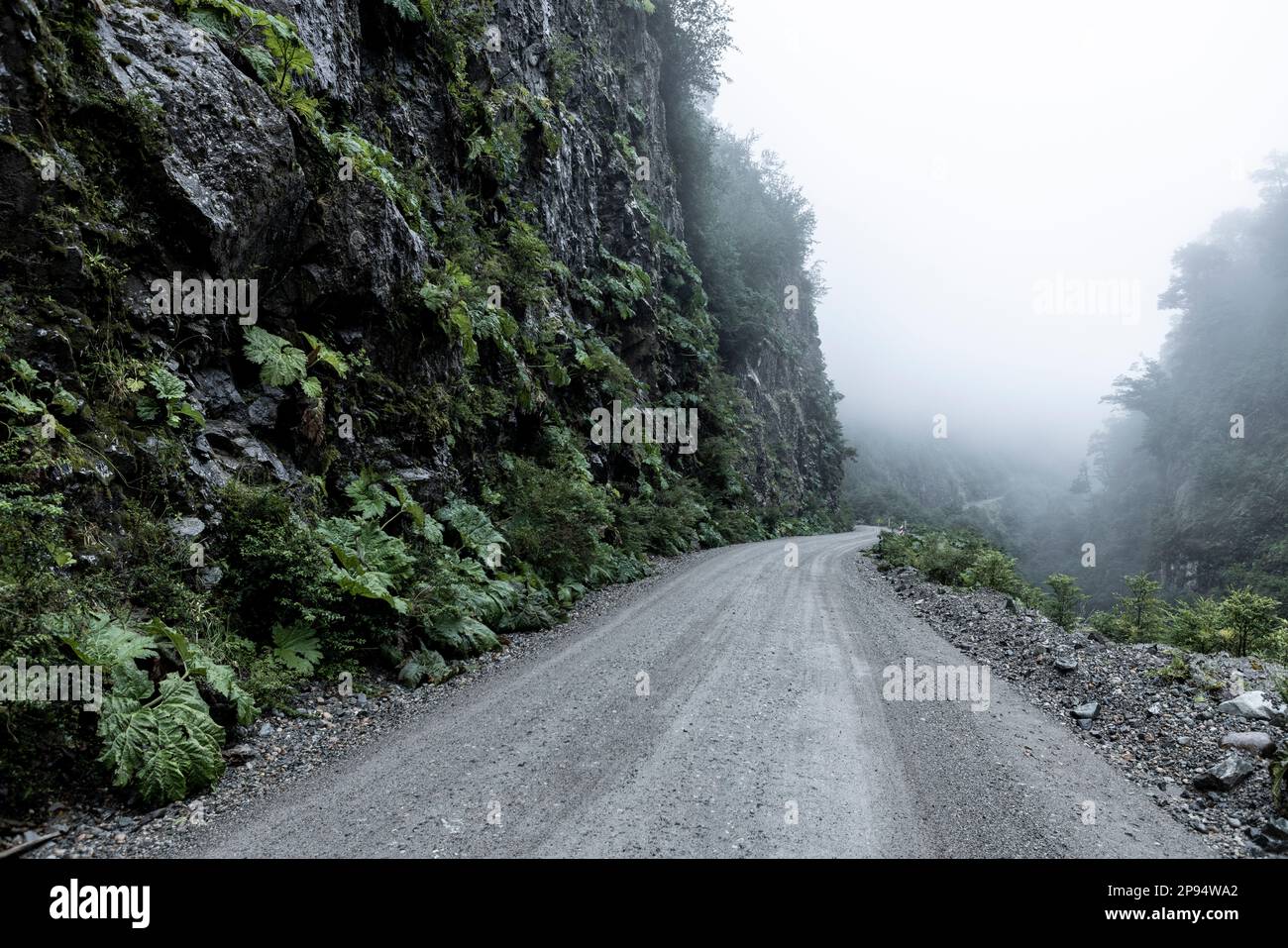 Landscape between Caleta Yungay and Tortel - traveling the Carretera ...