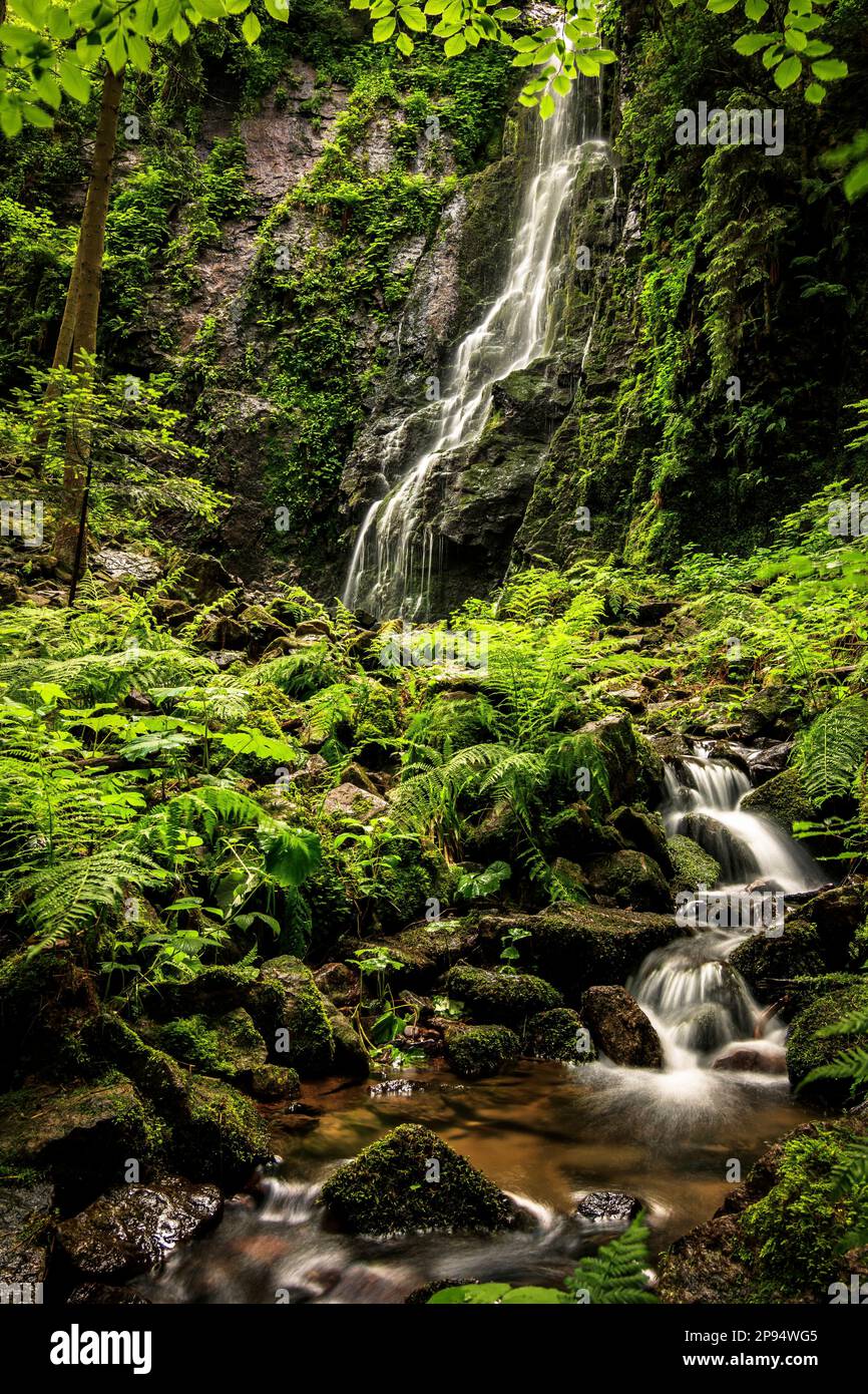 Waterfall in untouched nature, an old path with stone steps leads to a ...