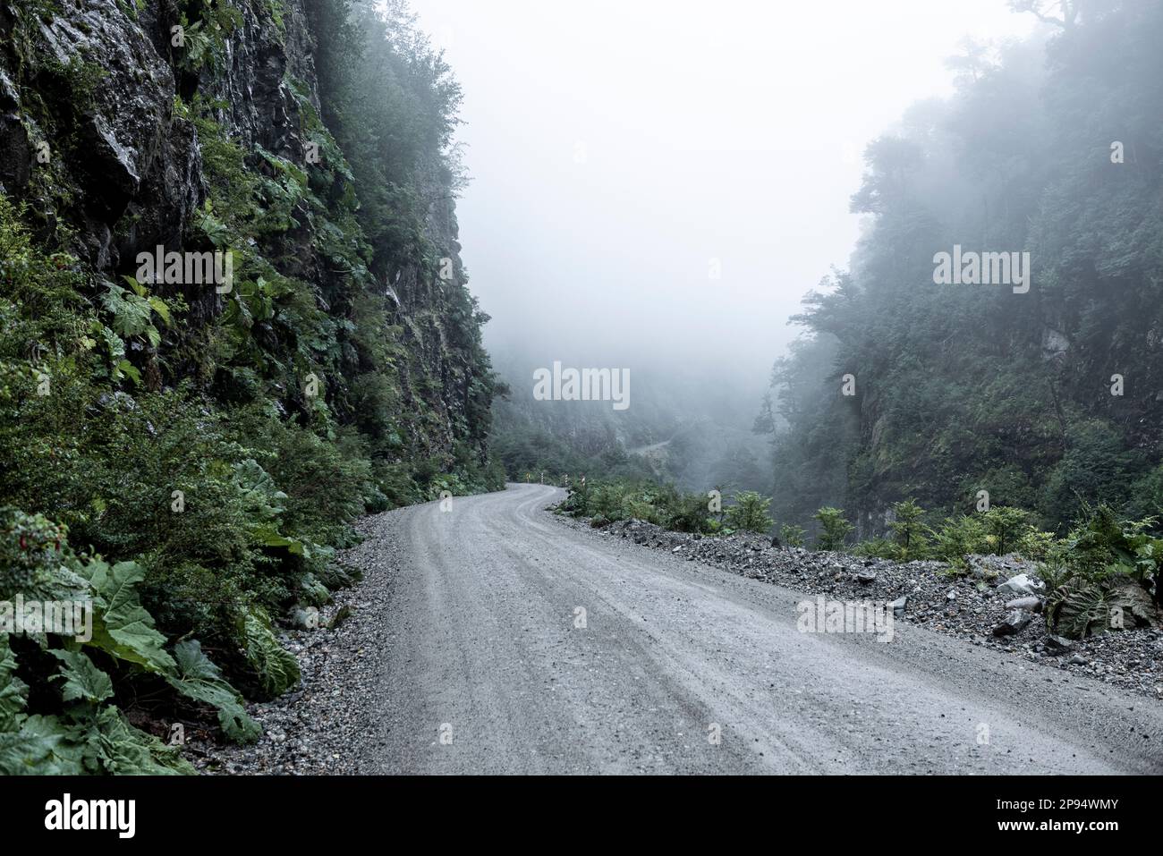 Landscape between Caleta Yungay and Tortel - traveling the Carretera ...