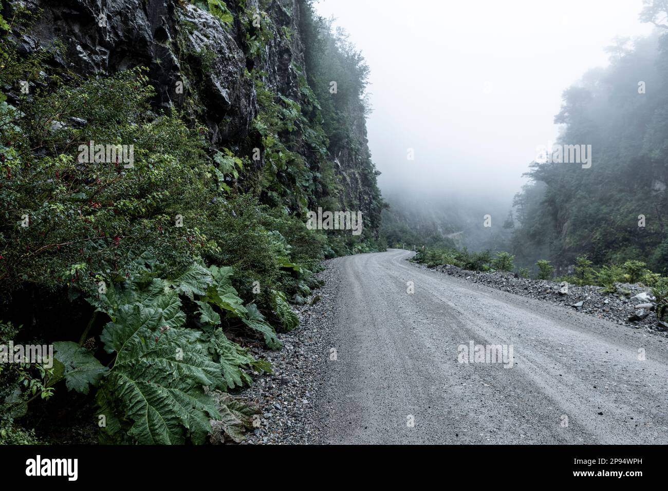 Landscape between Caleta Yungay and Tortel - traveling the Carretera ...