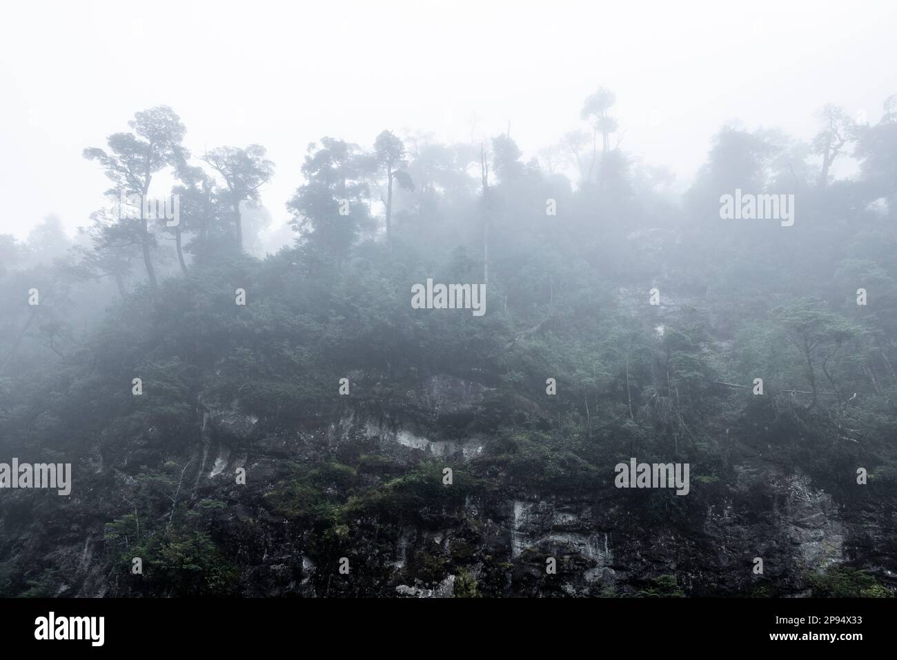 Landscape between Caleta Yungay and Tortel - traveling the Carretera ...