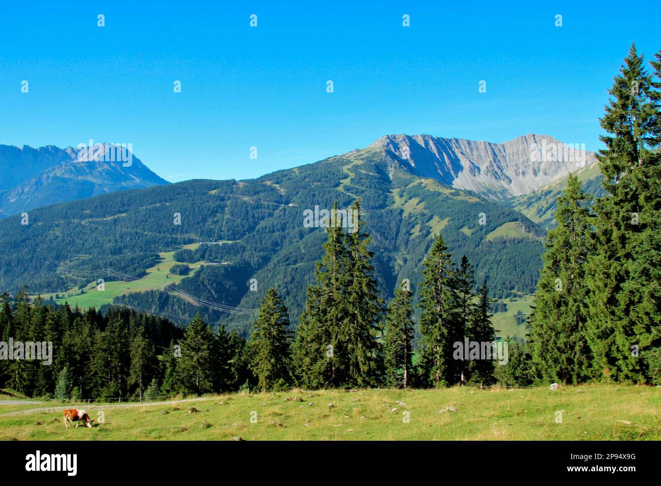 View from the Tuftlalm (1496m) in the background on the left the Wannig ...
