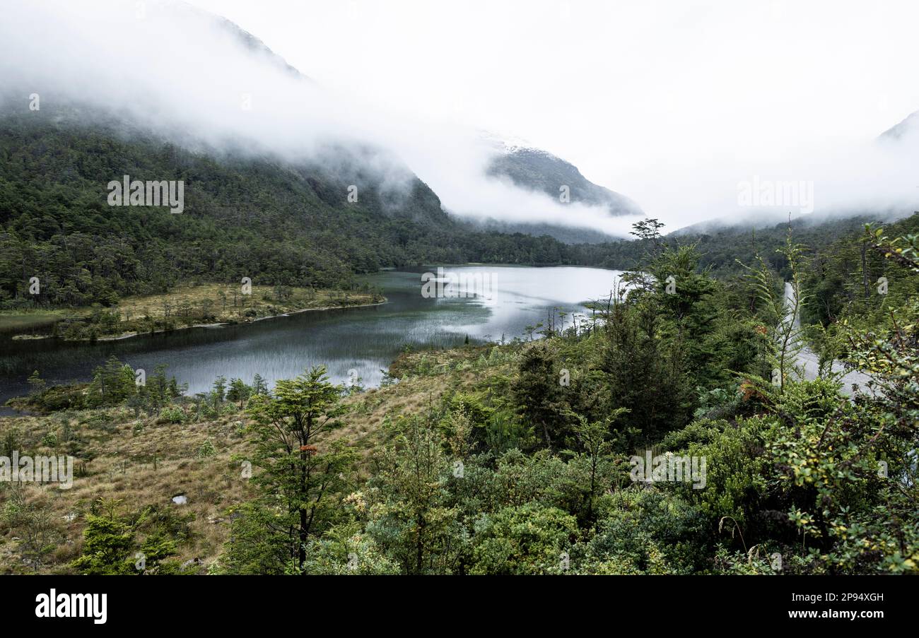 Landscape between Caleta Yungay and Tortel - traveling the Carretera ...
