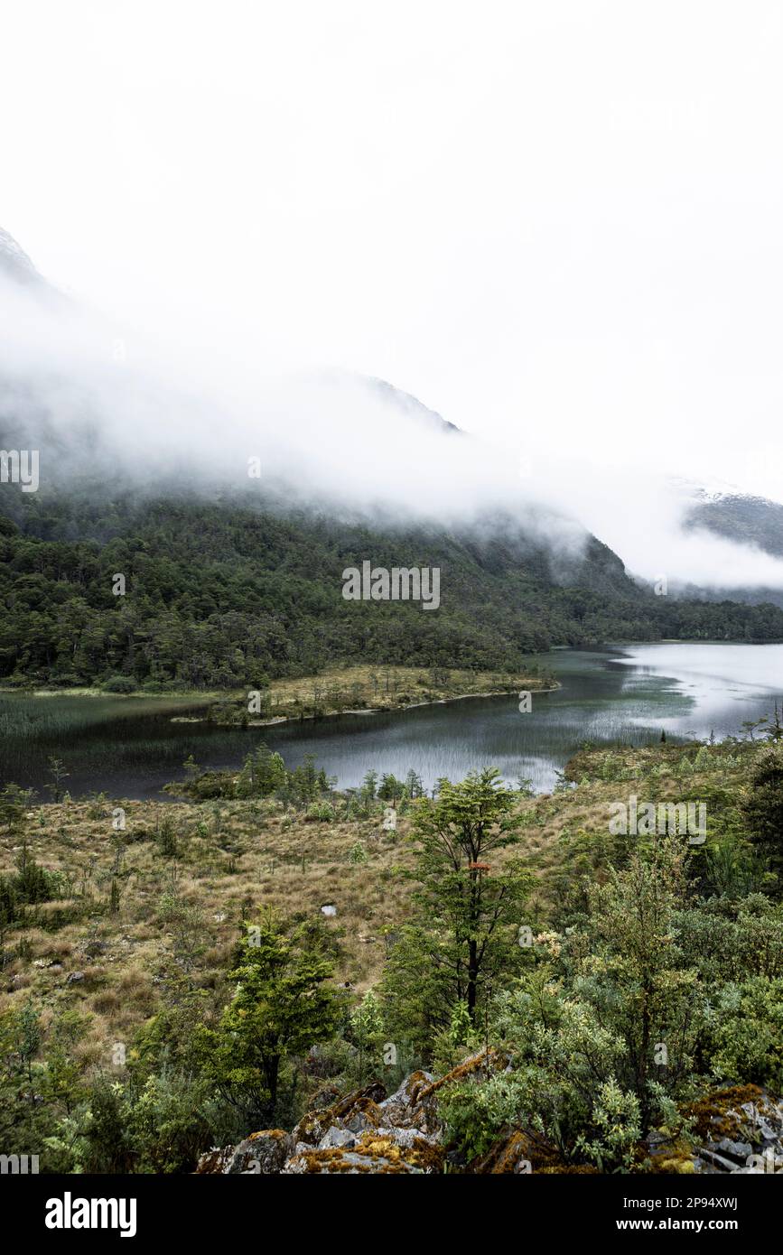 Landscape between Caleta Yungay and Tortel - traveling the Carretera ...