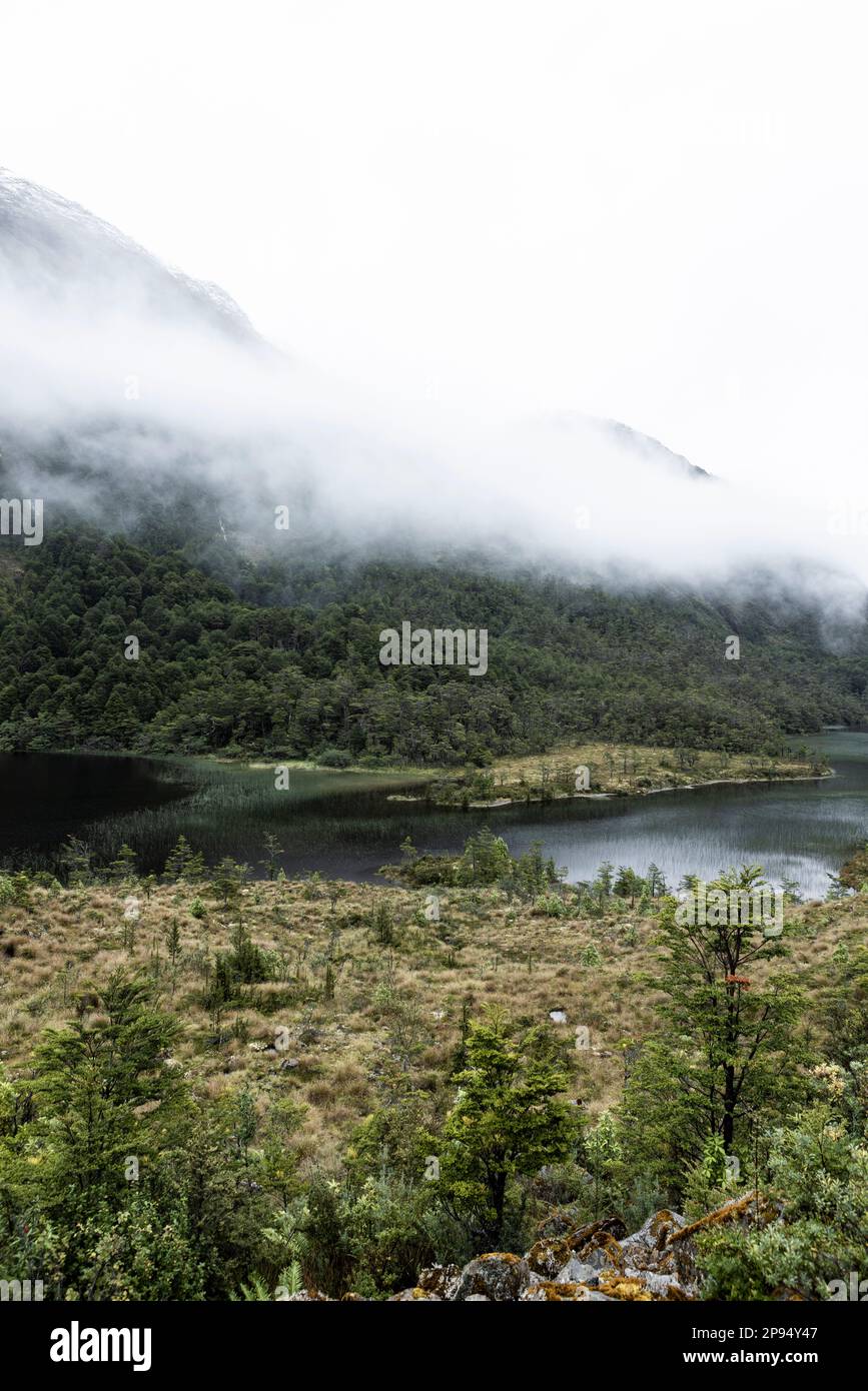 Landscape between Caleta Yungay and Tortel - traveling the Carretera ...