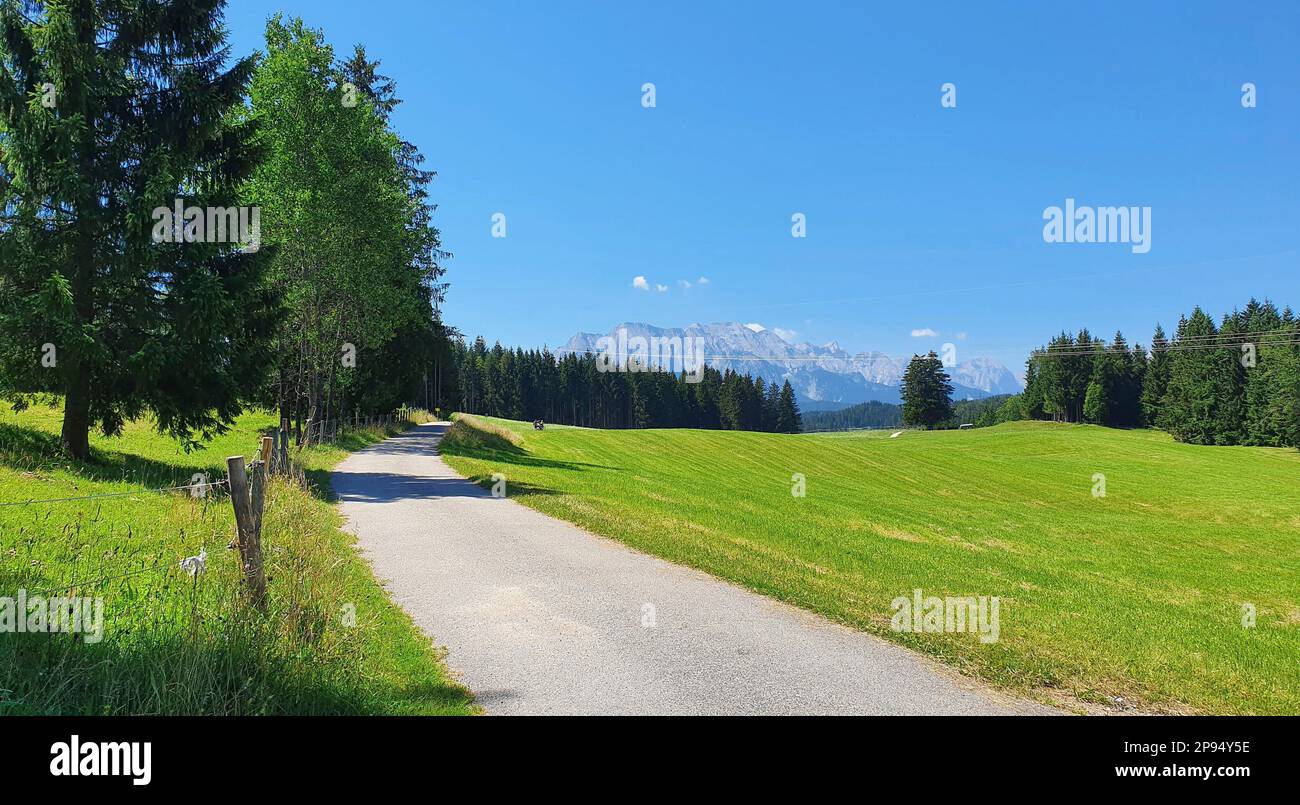Buchel hi-res stock photography and images - Alamy