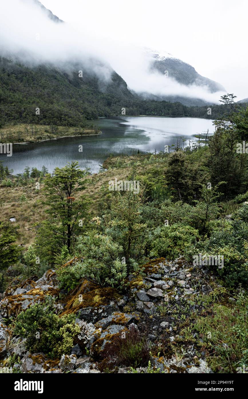 Landscape between Caleta Yungay and Tortel - traveling the Carretera ...
