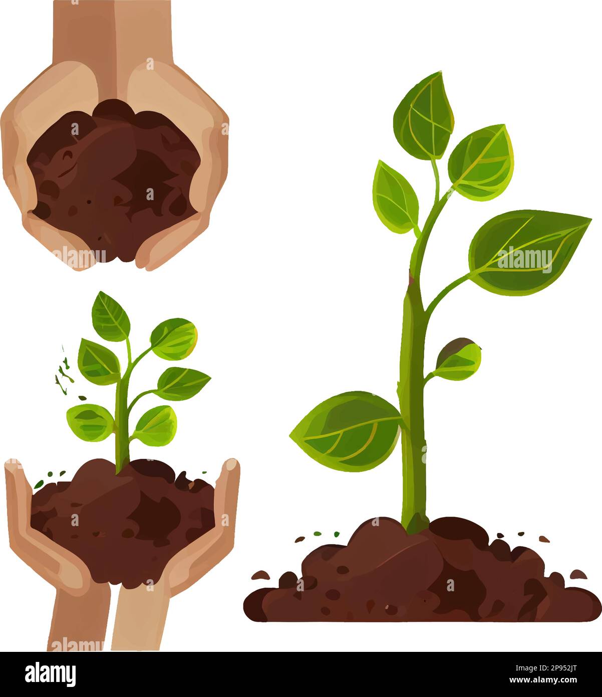 set vector illustration of plant growing on soil in hands isolate Stock ...