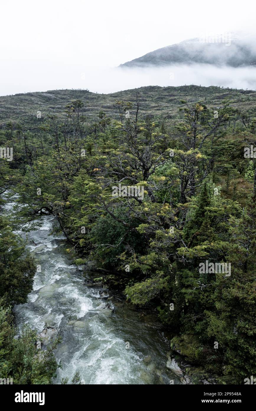Landscape between Caleta Yungay and Tortel - traveling the Carretera ...