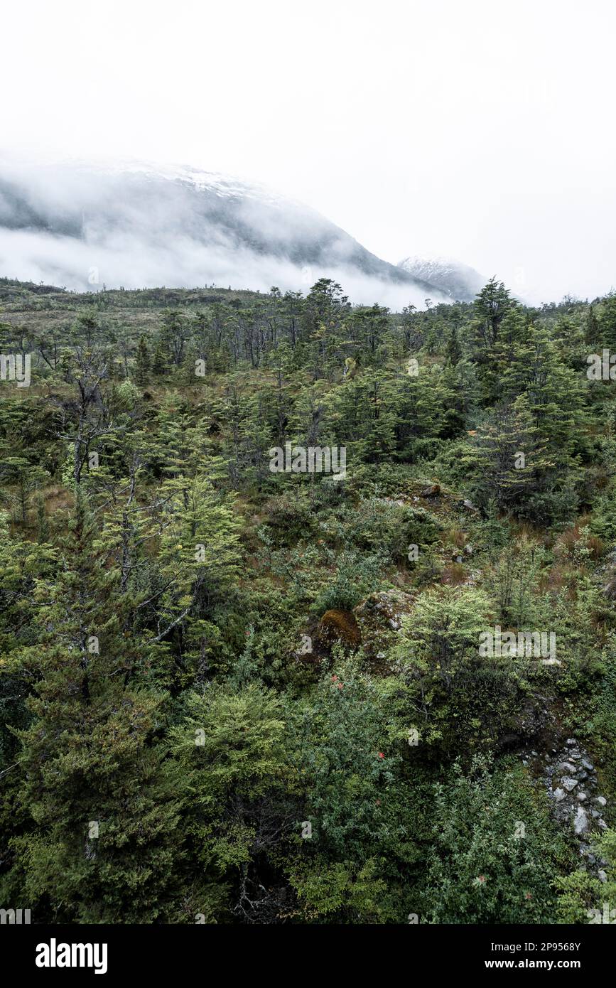Landscape between Caleta Yungay and Tortel - traveling the Carretera ...