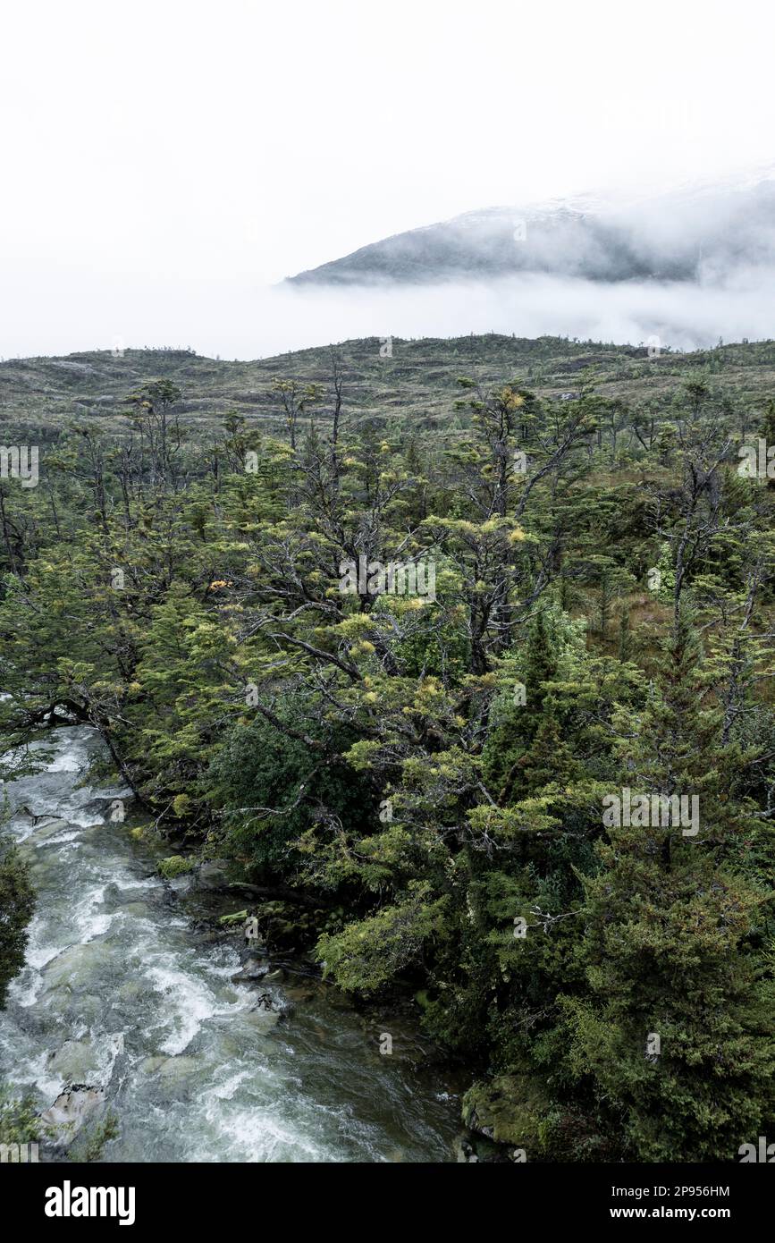 Landscape between Caleta Yungay and Tortel - traveling the Carretera ...