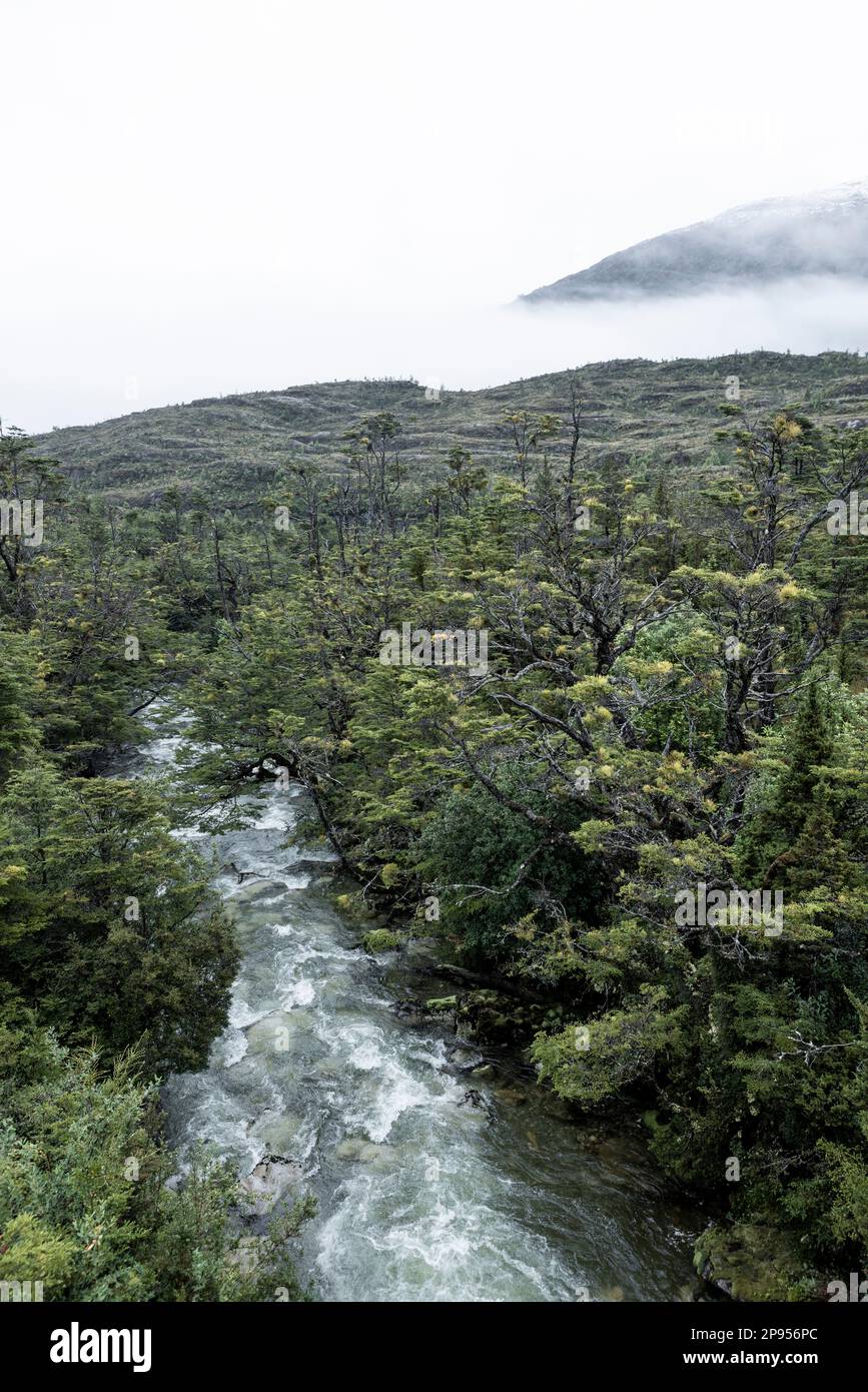 Landscape between Caleta Yungay and Tortel - traveling the Carretera ...