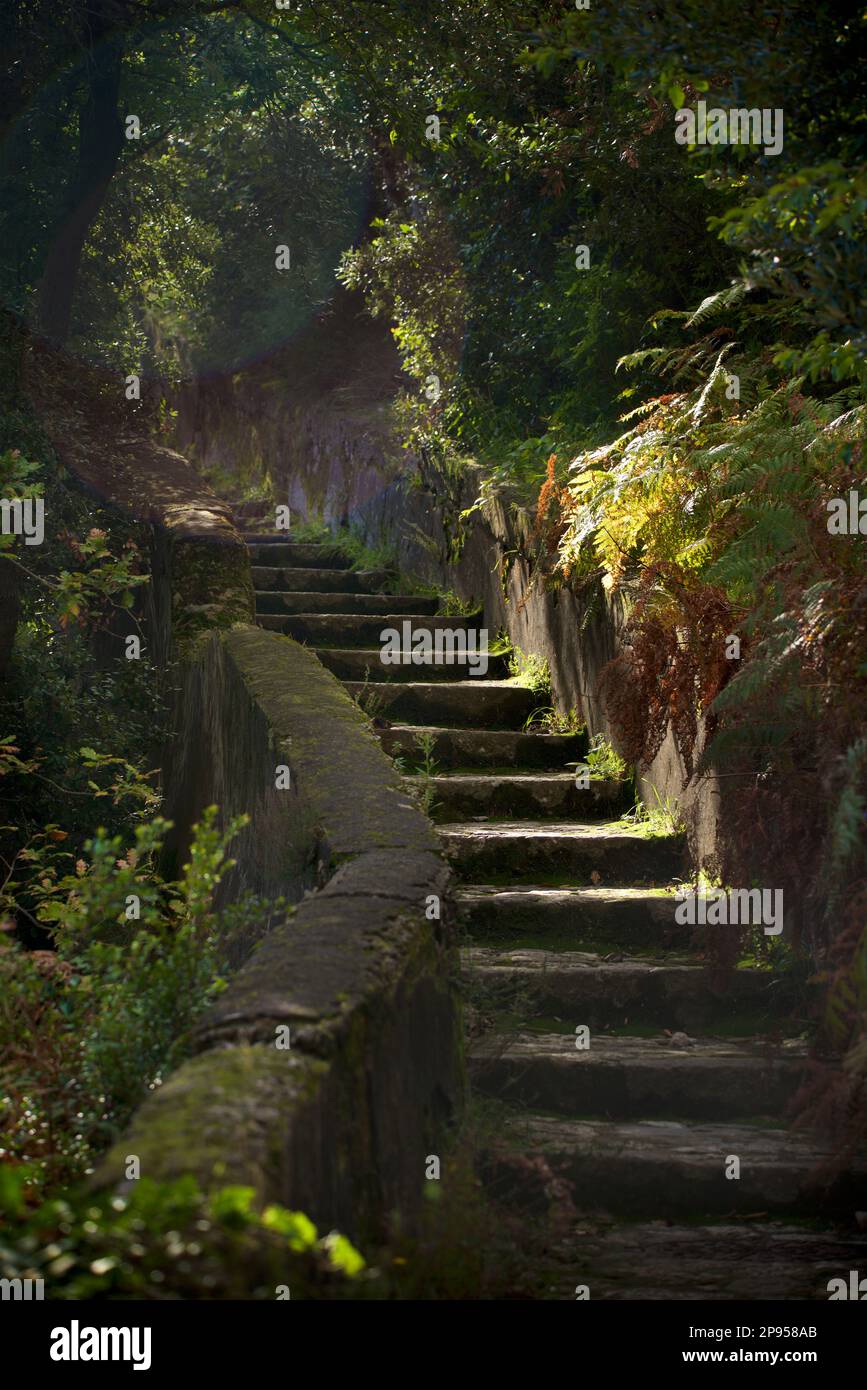 From Agerola to Amalfi is a steep path with thousands of steps that ...