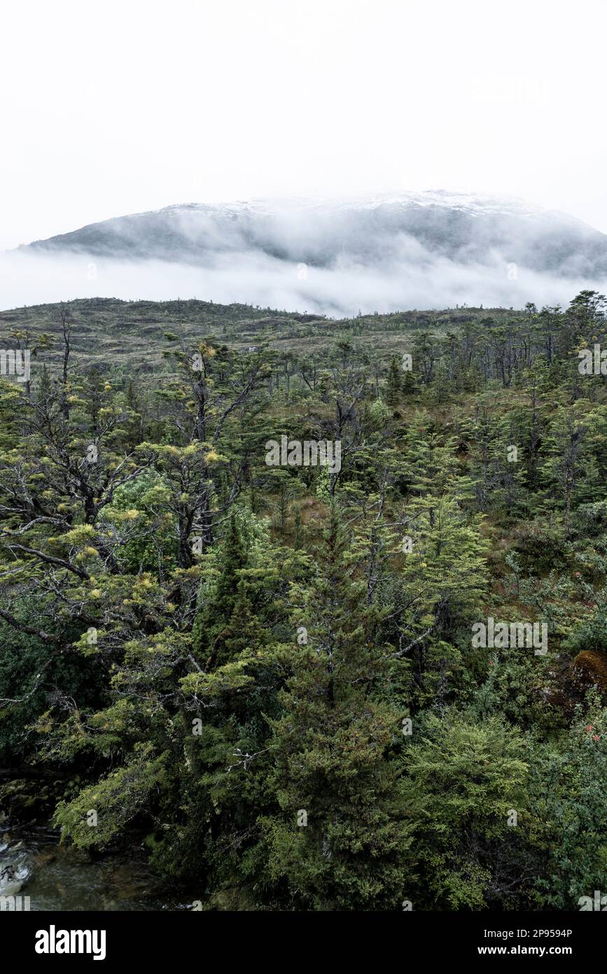 Landscape between Caleta Yungay and Tortel - traveling the Carretera ...