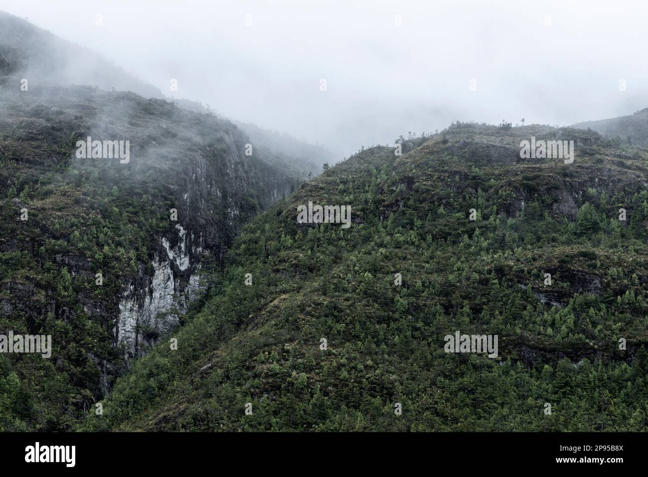 Landscape between Caleta Yungay and Tortel - traveling the Carretera ...