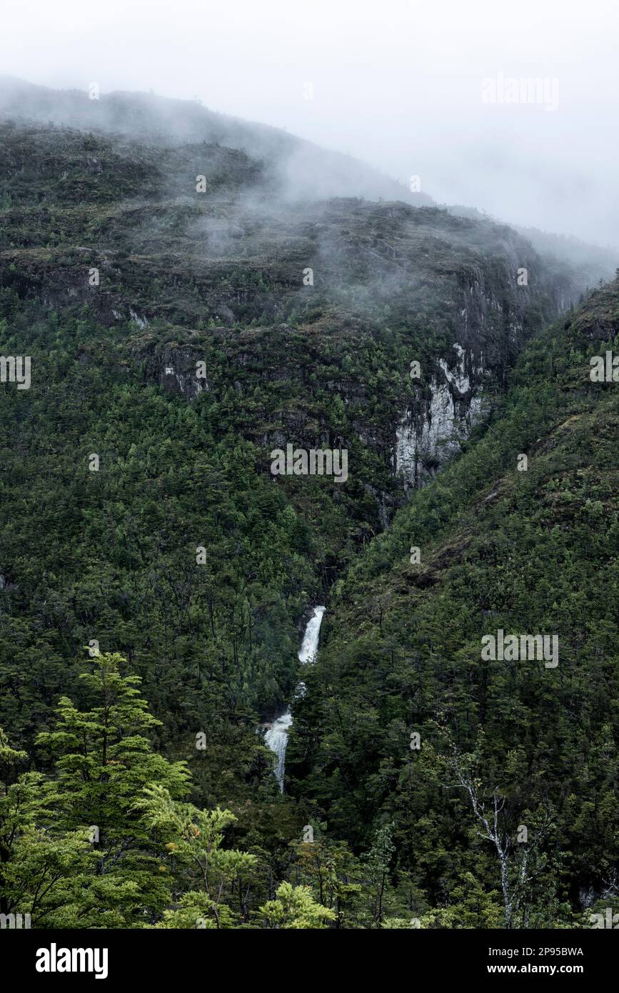 Landscape between Caleta Yungay and Tortel - traveling the Carretera ...