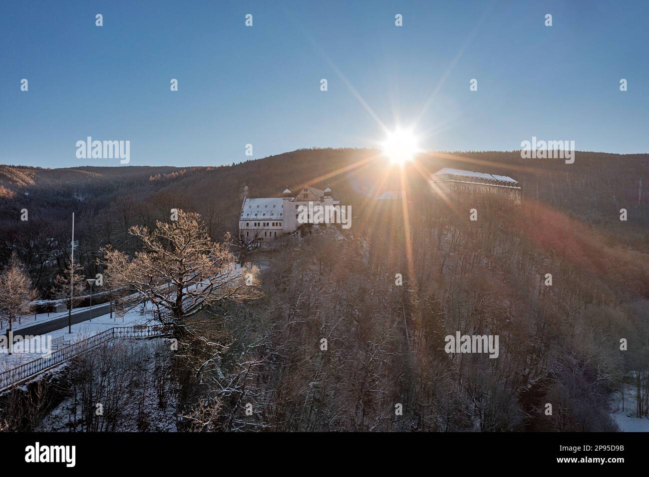 Germany, Thuringia, Schwarzburg, baroque castle, armory, tree, forest ...