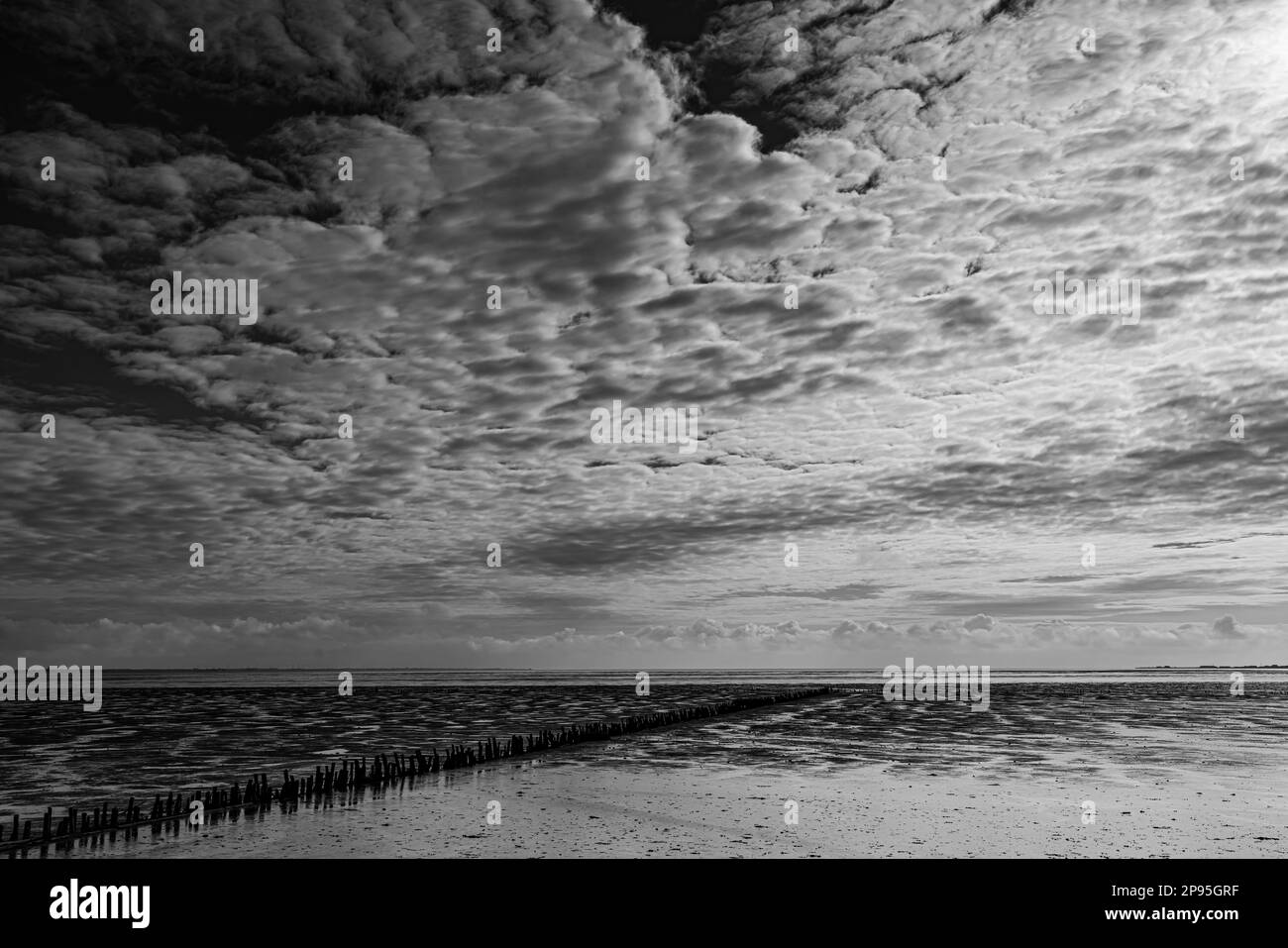 Wadden Sea off the island of Rømø, Denmark (way to the island of Sylt ...