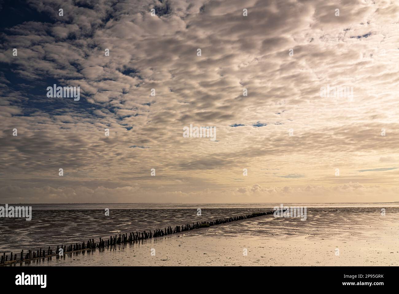 Wadden Sea off the island of Rømø, Denmark (way to the island of Sylt ...