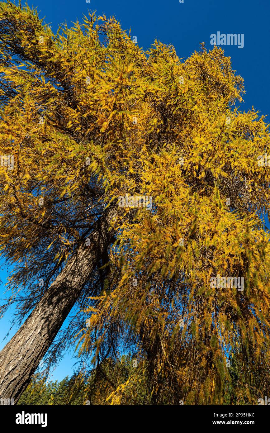 Photographed diagonally below hi-res stock photography and images - Alamy