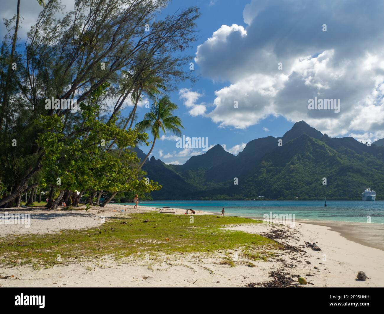 Tahiti island palm beach, French Polynesia Stock Photo - Alamy