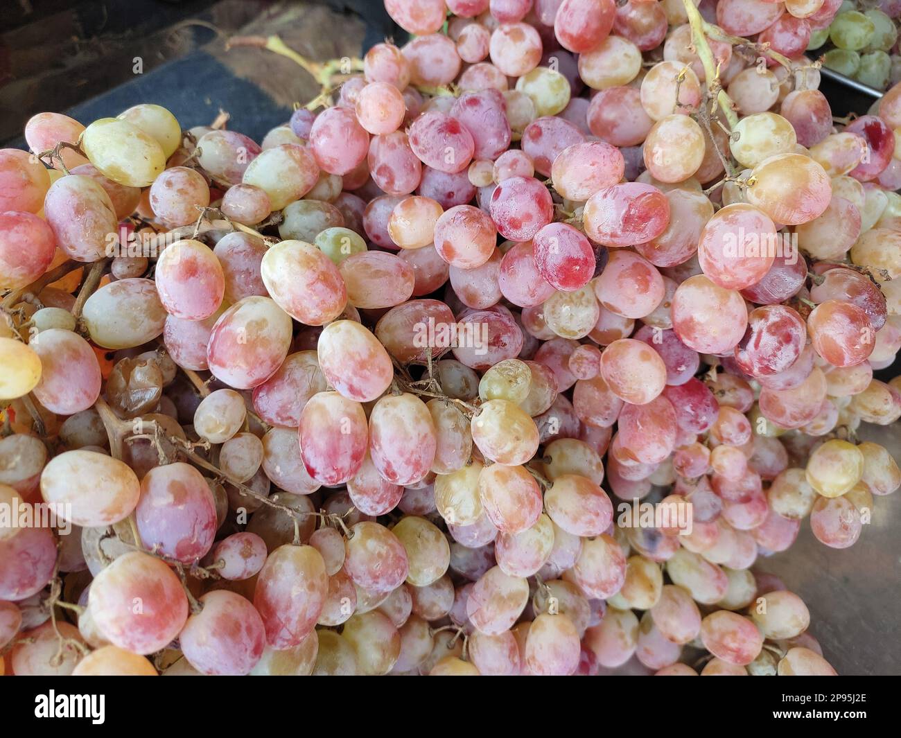 Grapes A lot of ripe grapes close-up. The texture of the berries as a ...