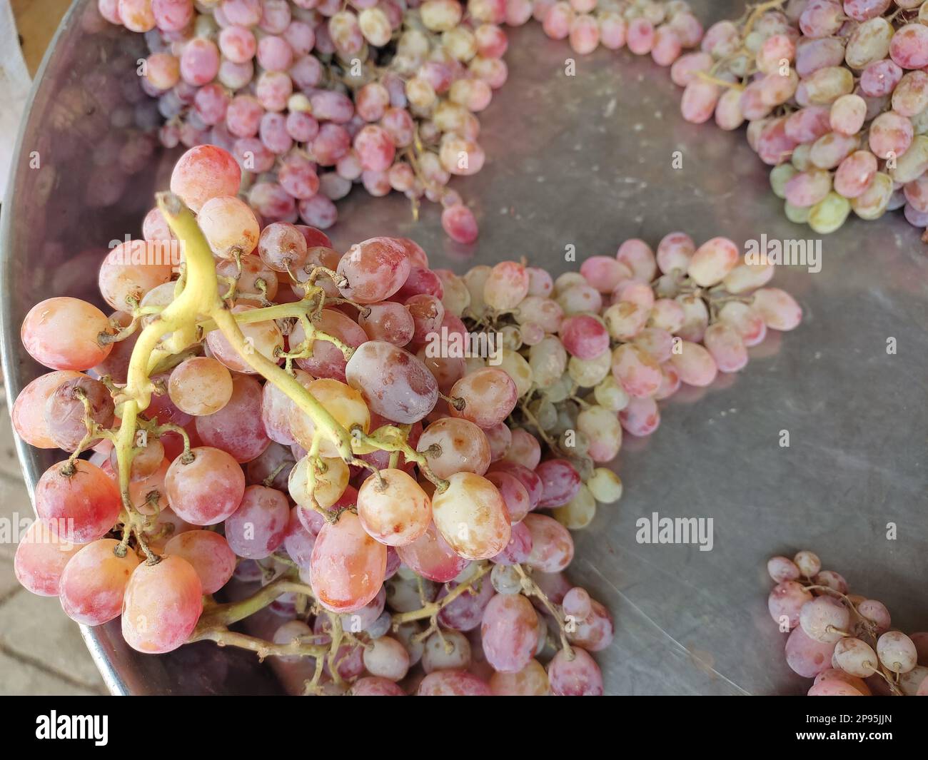 Grapes A lot of ripe grapes close-up. The texture of the berries as a ...