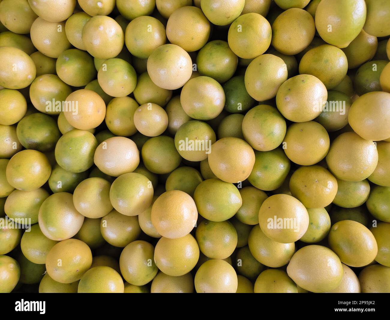 Ripe Yellow Lemons Close-up Background Or Texture. Lemon Harvest, Many ...