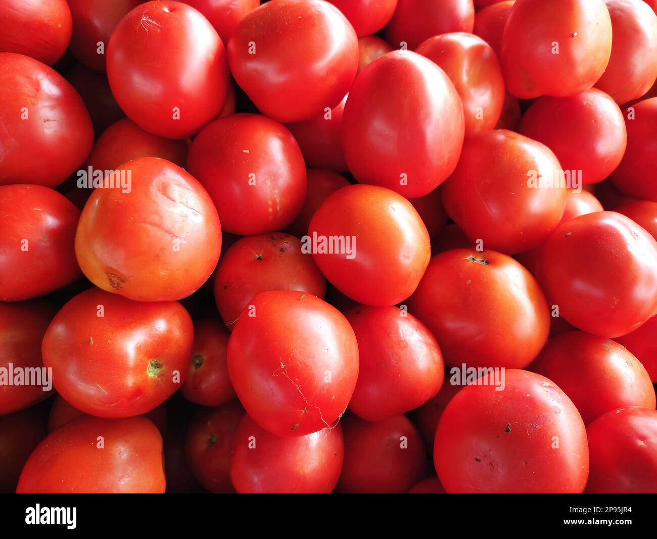Tomato in the market Stock Photo - Alamy