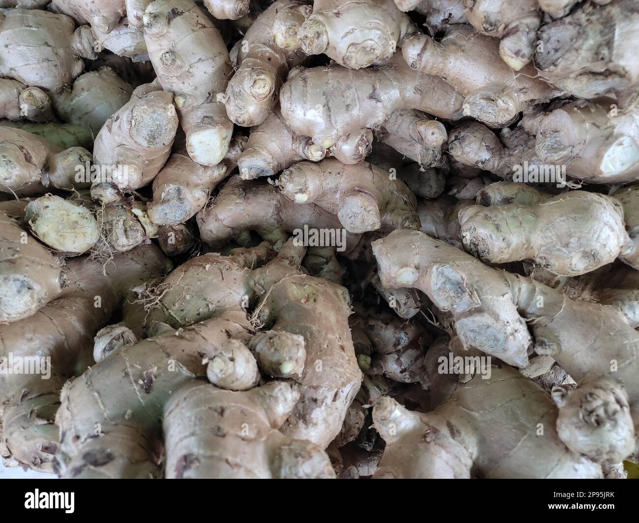 Fresh organic ginger on fresh market Stock Photo - Alamy