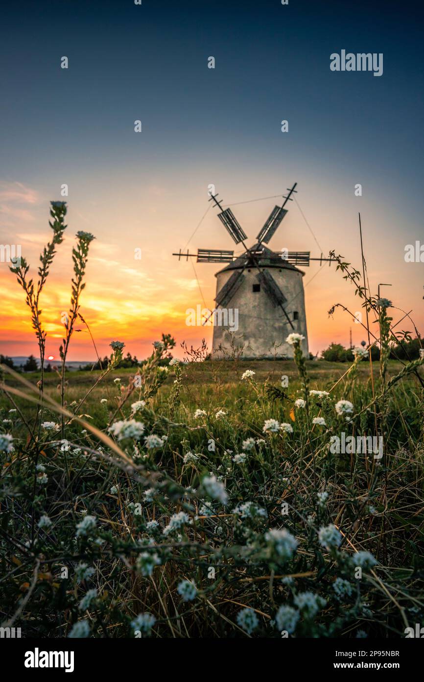 Old historical windmill made of stone and wood, it stands in a field ...