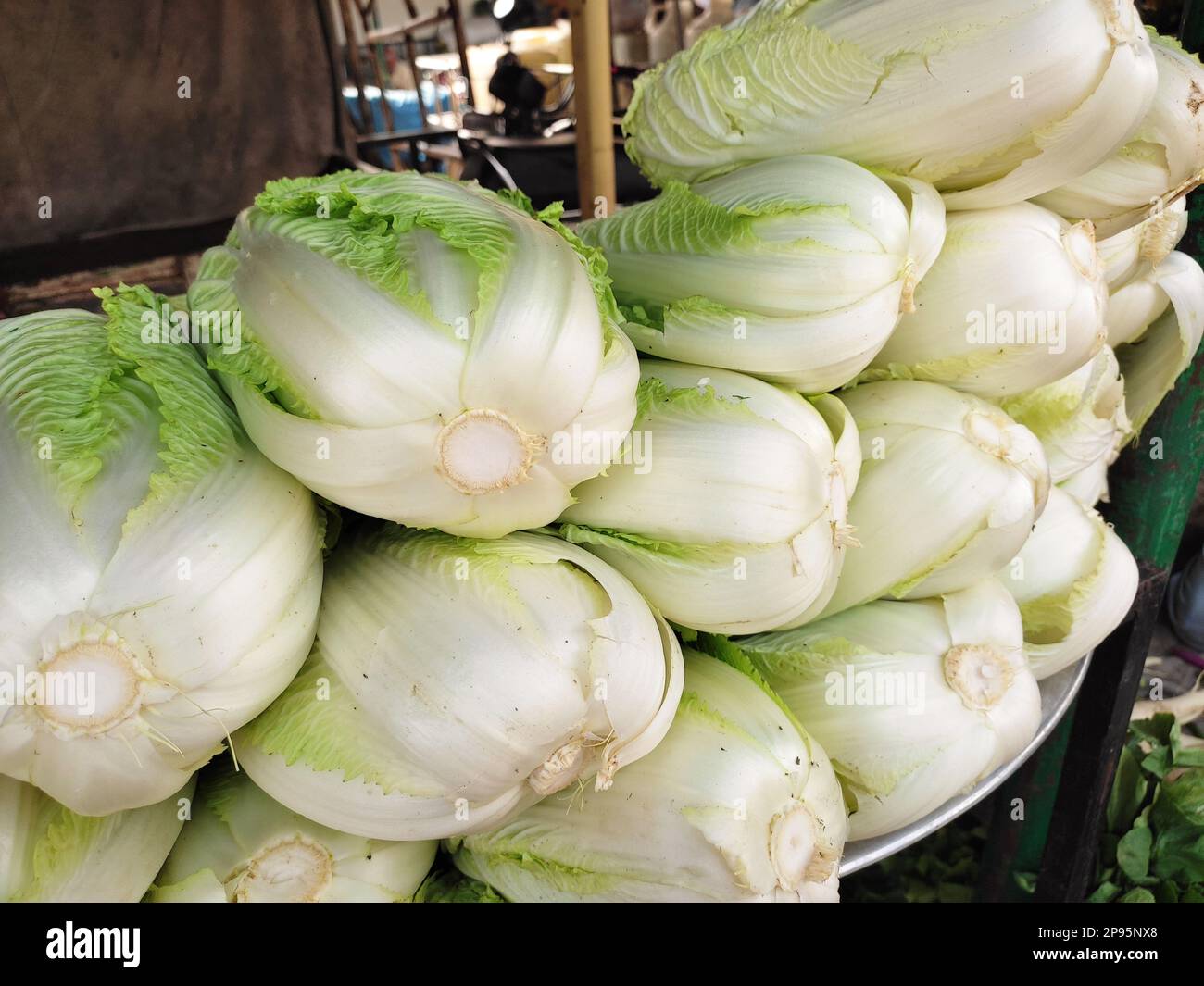 A pile of Chinese cabbage Stock Photo - Alamy