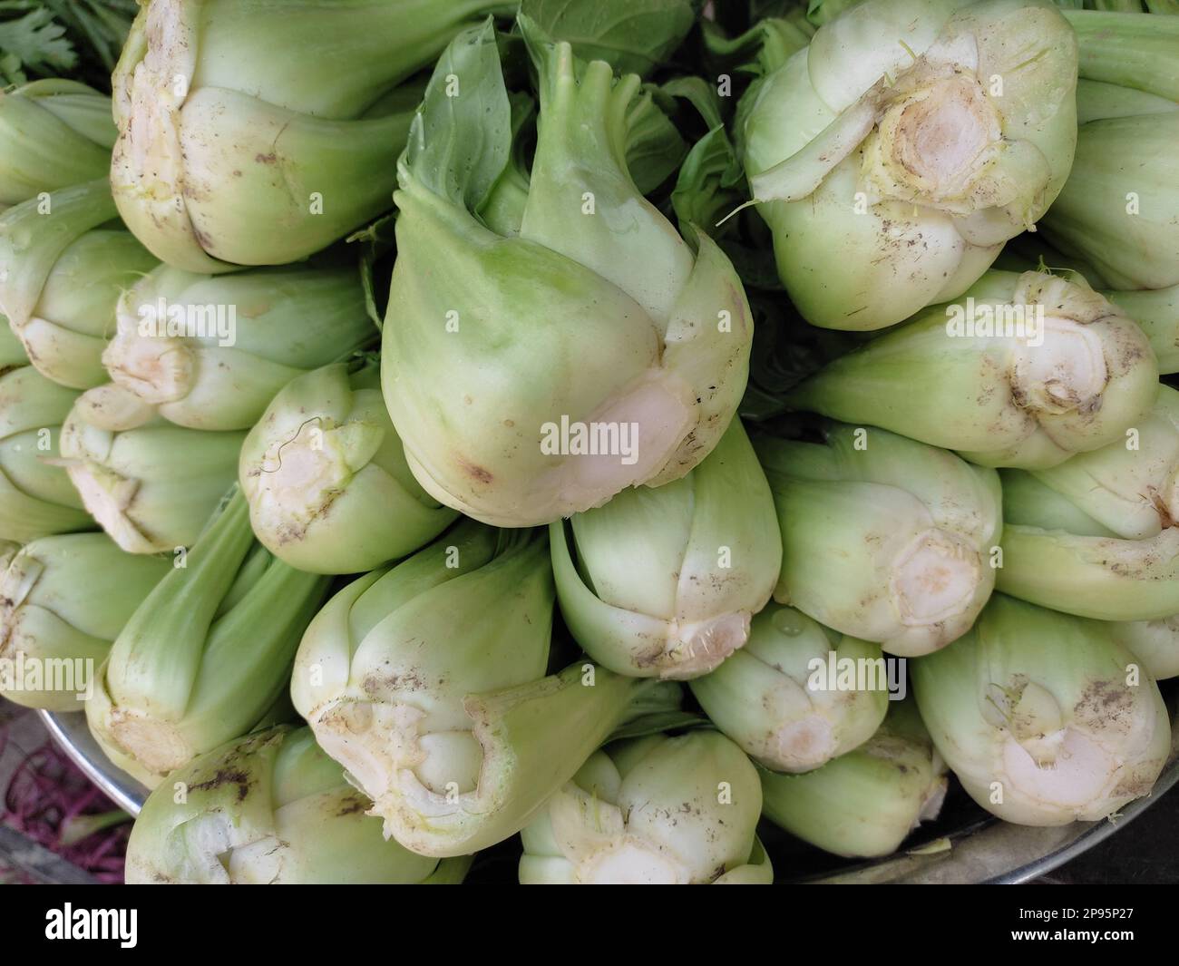 A pile of Chinese cabbage Stock Photo - Alamy