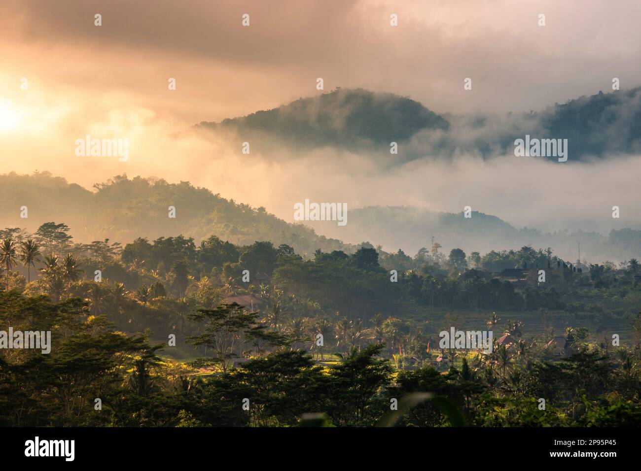 Bali and its beautiful rice terraces, landscape shot and spectacular ...