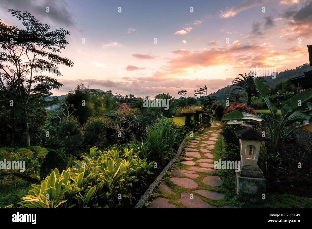 Green nature in Bali, incredibly beautiful Stock Photo - Alamy