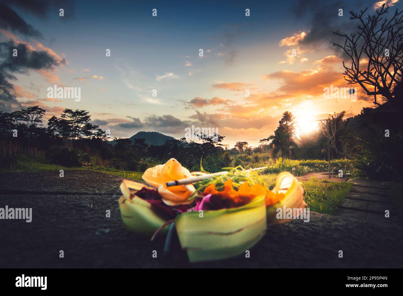 Bali, Daily offerings, Hinduism Stock Photo - Alamy