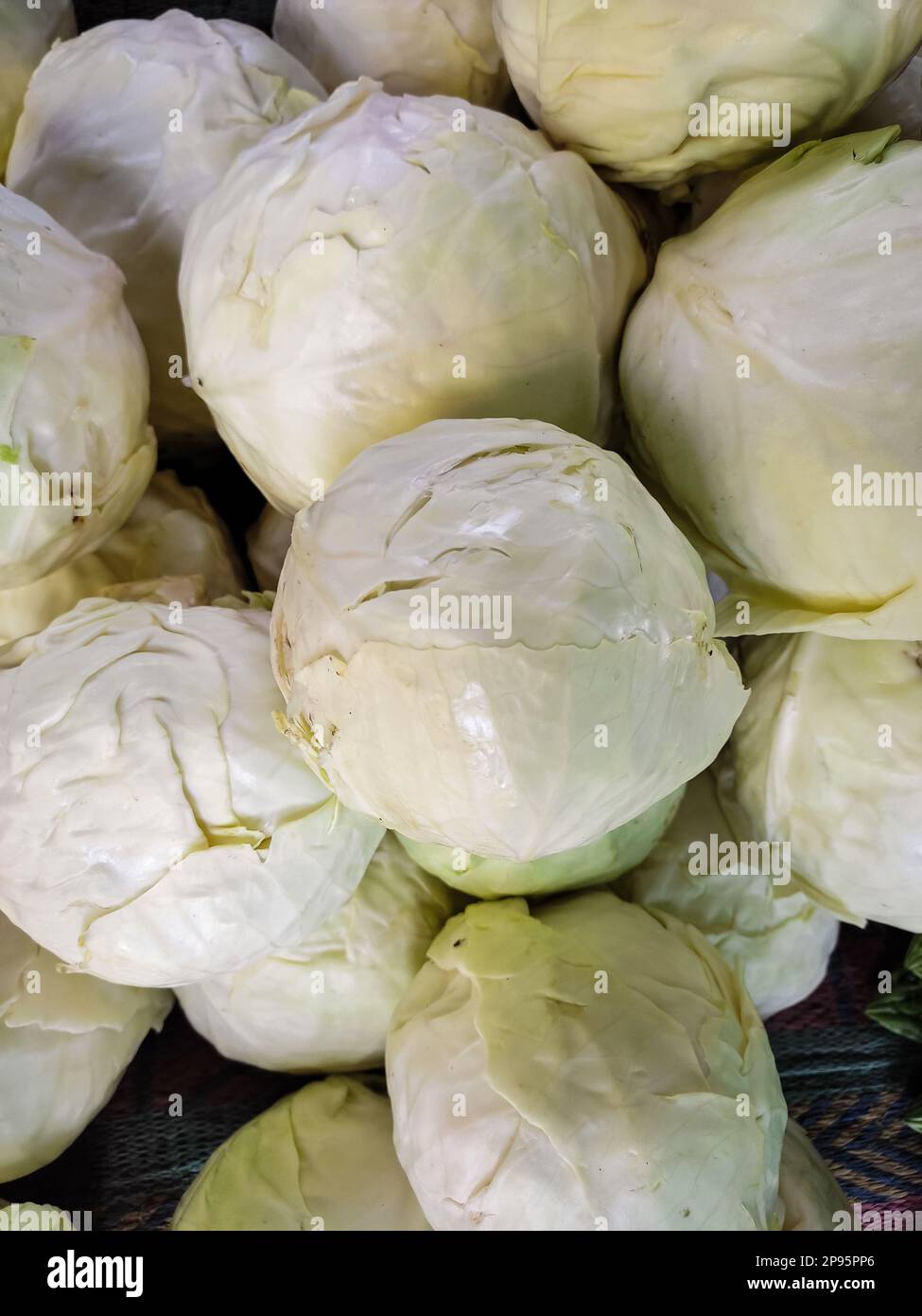 Supermarket cabbages hi-res stock photography and images - Alamy