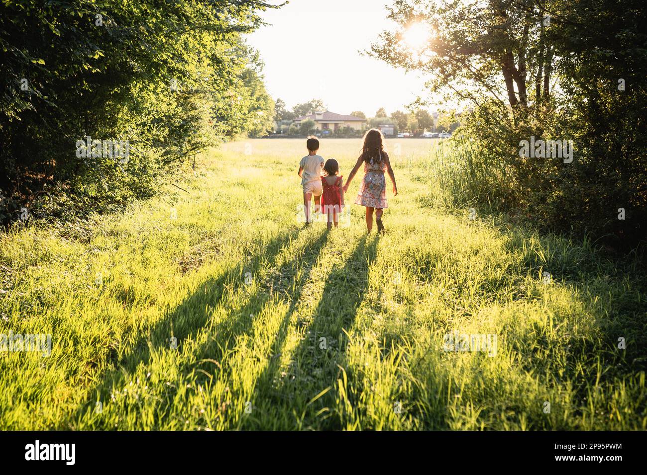 rear view of three children running towards sun in the field Stock ...