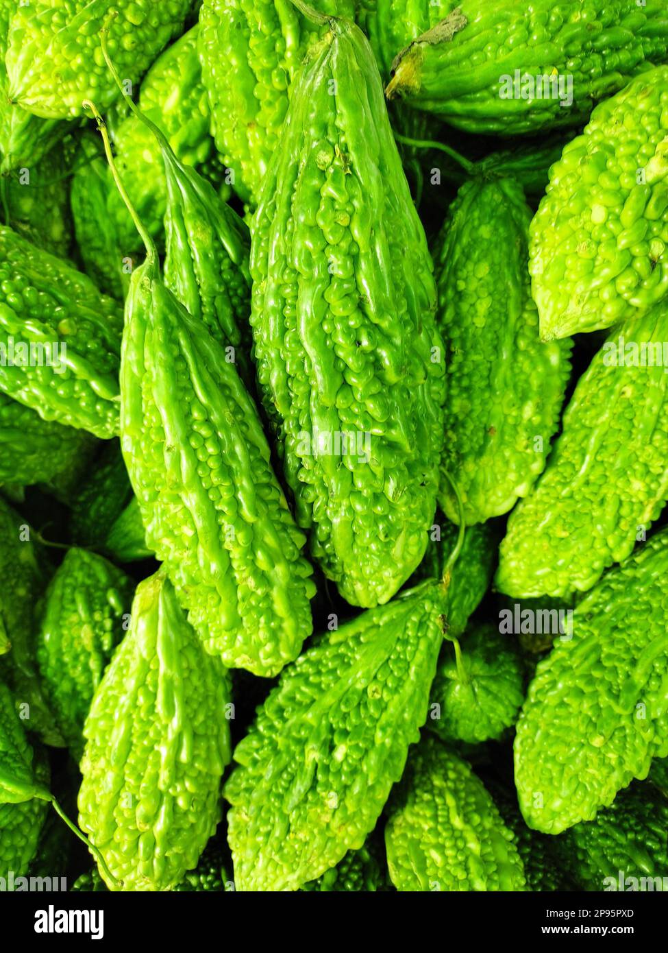 Biter gourd hi-res stock photography and images - Alamy