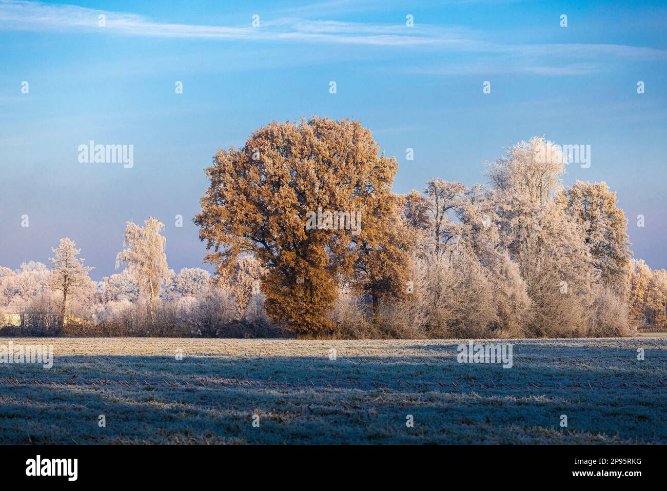 Cultural landscapes in winter, winter impressions Stock Photo - Alamy