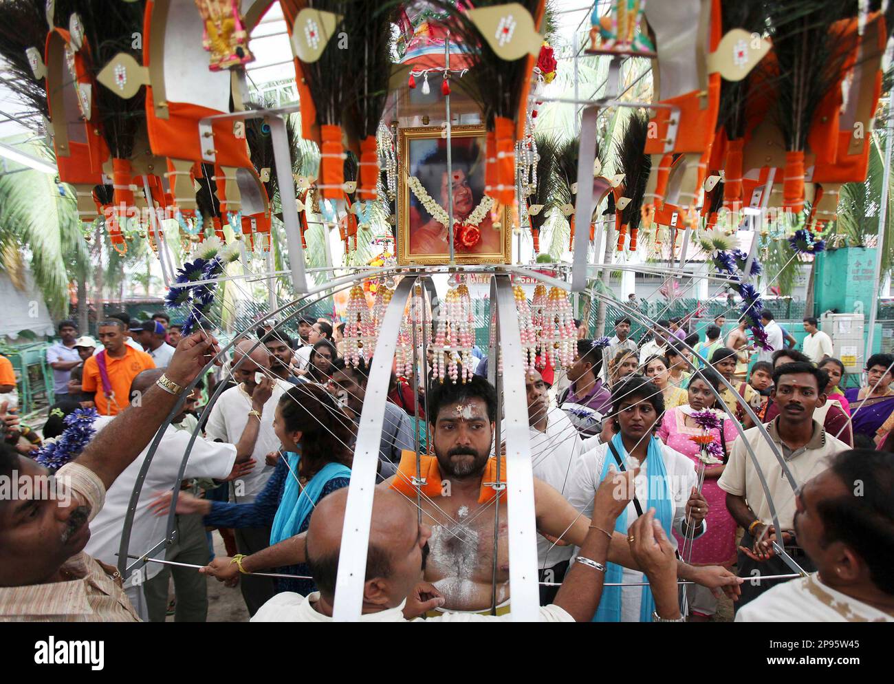 A Hindu devotee prepares a Kavadi offering cage to participate in a ...