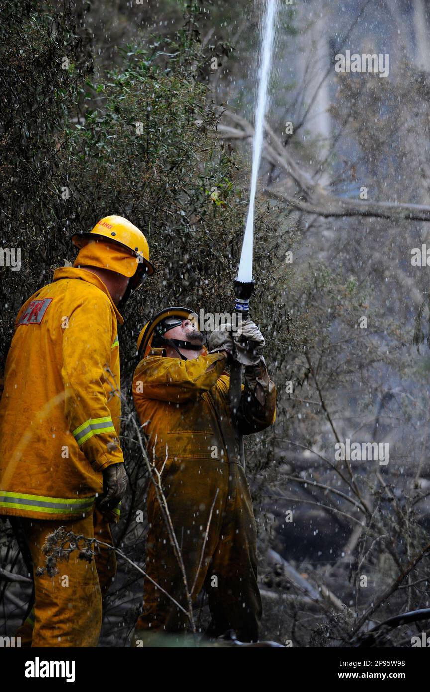 Country Fire Authority (CFA) firefighters put out flames of a tree near ...