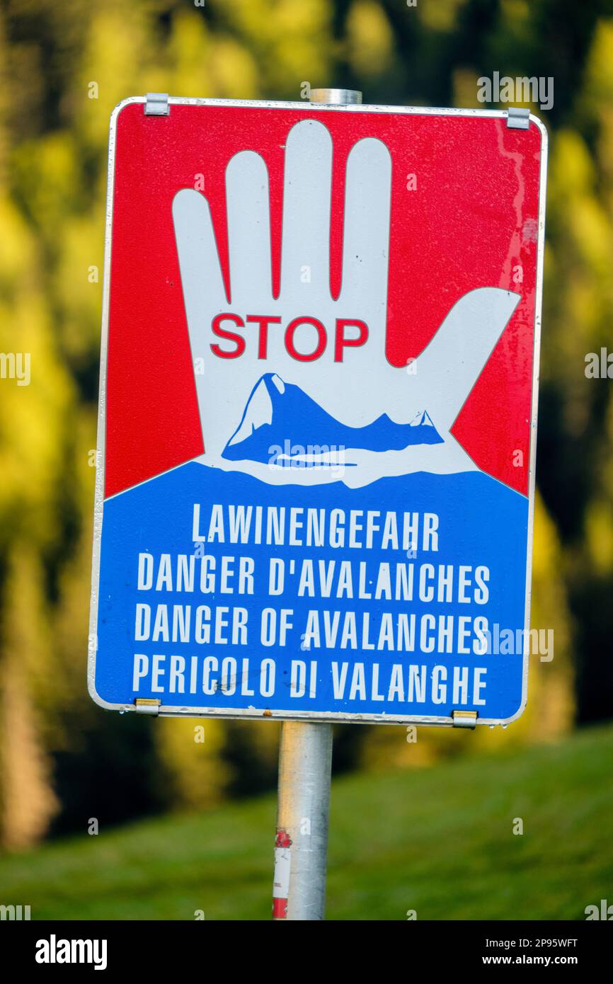 In the valley of Pfundser Tschey (Tyrol, Austria) there are avalanche ...