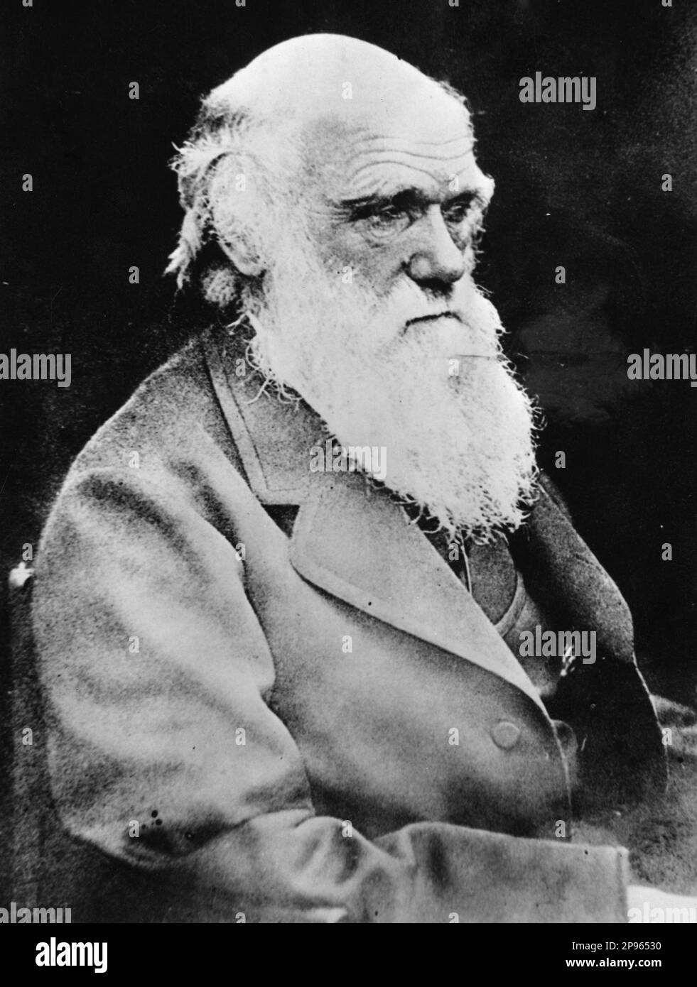 ** FILE ** Portrait of British scientist Charles Robert Darwin, founder ...
