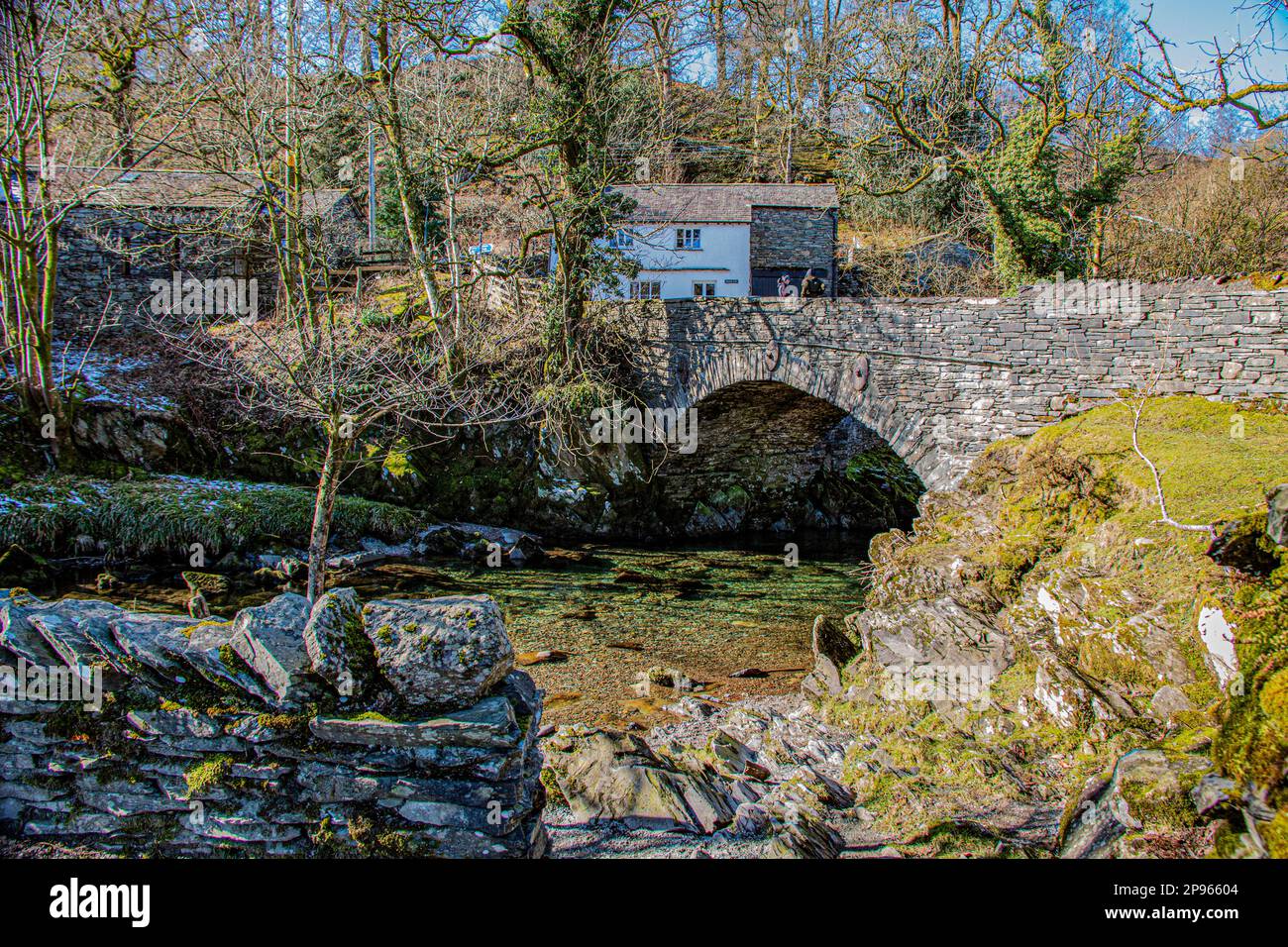 Pretty Elter Water in the Langdale Valley, Lake District National Park ...