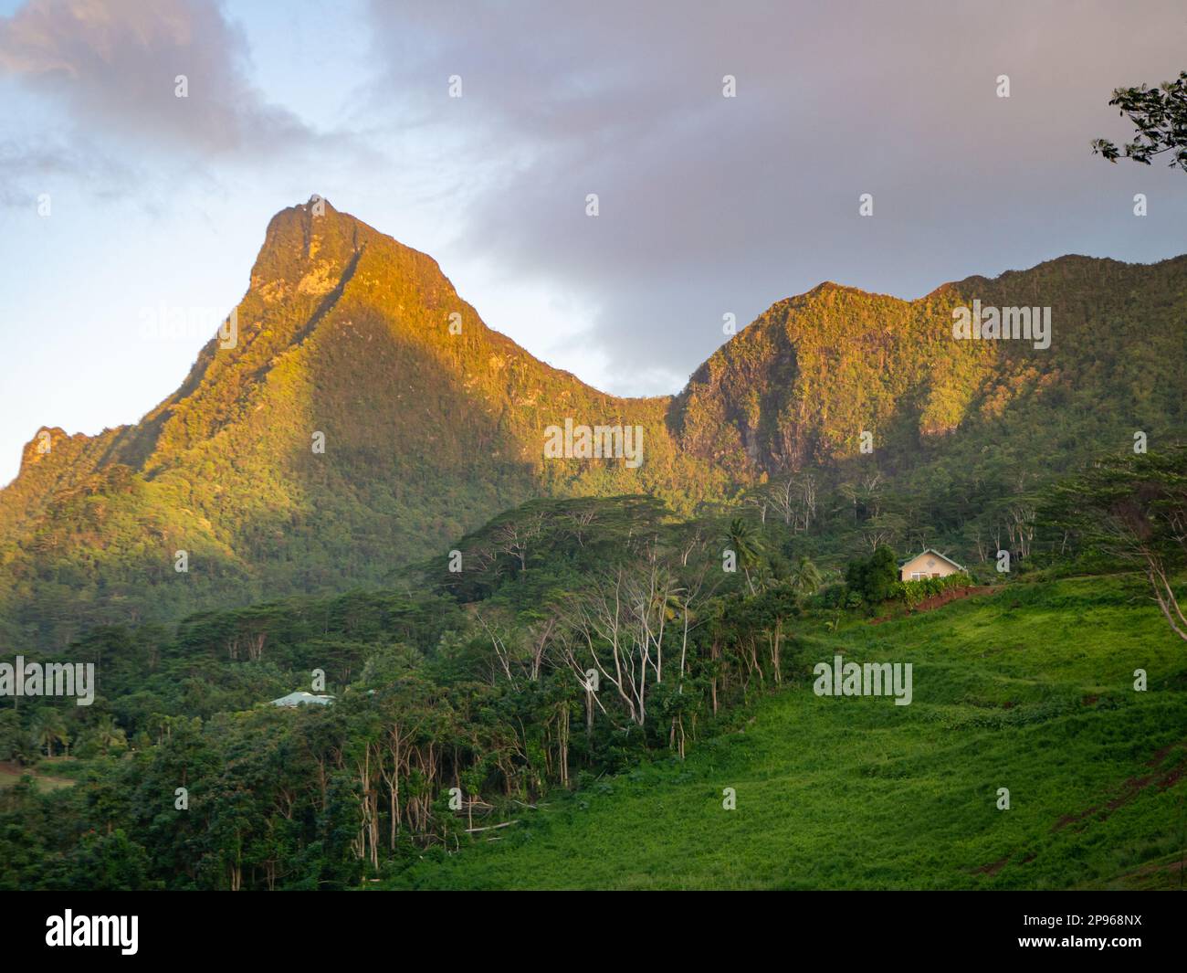 Tahiti island nature landscape, French Polynesia Stock Photo - Alamy